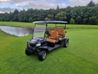 China 4 Seat Golf Cart With 48V Battery System Fast Charging Capability Powerful AC Motor for sale