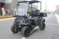 China Matte black electric golf truck aluminum alloy rear bucket large screen McPherson independent suspension for sale