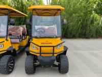 China New Wholes Electric Power Steering Golf Truck Cheap Price Evolution Small Golf Cart Fast for sale