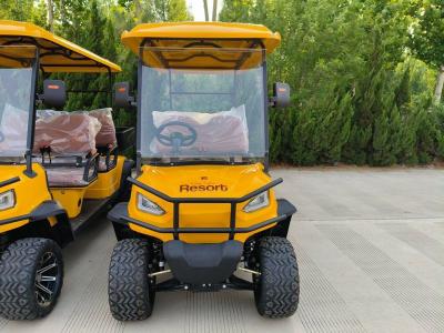 China New Wholes Electric Power Steering Golf Truck Cheap Price Evolution Small Golf Cart Fast for sale