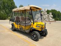 China New Electric Power Steering Golf Truck Cheap Price Evolution Small Golf Cart Fast for sale