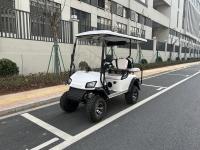 China Electric Off Road Golf Buggy Utility Vehicle With Certification And No Less Than 80km Traveling Range 12 Inch Wheel for sale