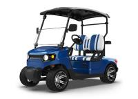 China New Energy Blue Golf Cart 2 Person 48 Volt Electric Club Car Manufacturer for sale