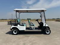 China High Quality 4000W 60V Long Range Electric 4 Seats Facing Forward Golf Cart 14 Inch Family 4 Wheel for sale