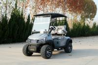 China Comfortable Big Seat 2 Seat Electric Custom Golf Cart Mobility Four-Wheeled Scooter For Any Age for sale