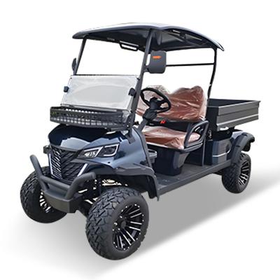 China Trendy Advanced Premium Off-Road Electric Lithium 2 Seater Golf Cart with Cargo Box Utility Electric Golf Truck for sale