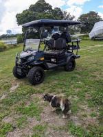 China 4 Seats Customize Electric Golf Cart 4 Passengers Off Road Golf Buggy for sale