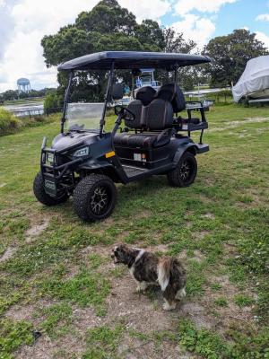 China 4 Seats Customize Electric Golf Cart 4 Passengers Off Road Golf Buggy for sale