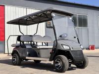 China Timeless Classic 6+2 Passenger Golf Course Tour Cart Luxurious Electric Design Course Fashion for sale