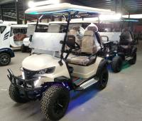 China Ultimate Luxury Fashionable Choice 2+2-Seat Matte Cream White Premium Customized Golf Cart for sale