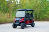 China Electric Single Seat Fully Customizable Rario Golf Cart Vintage 8 Seater Capacity for sale