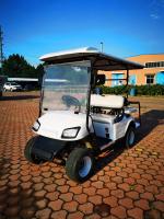 China White Classic 4 Seater Electric Golf Cart Customized With Colors And Logos With Lithium Battery for sale