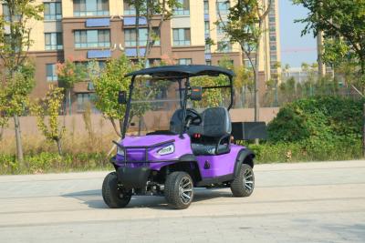 China Blue 2-Seater New Energy Electric Cargo Golf Cart Classic With LIthium Battery Support Customization for sale
