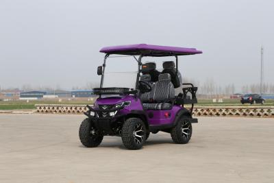 China 2+2-Seater Luxury Green Electric Golf Cart 14-Inch Off-Road Tires Suitable For Various Scenes Such As Mountains And Beaches for sale