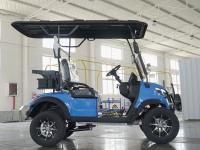 China Customized Colors 2 Seater Golf Cart with LCD Instrument and Scorecard Holder for sale