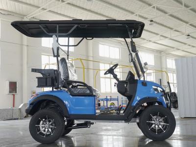 China Customized Colors 2 Seater Golf Cart with LCD Instrument and Scorecard Holder for sale