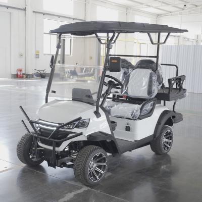 China Cargo Transportation Made Easy with ENPOWER Controller Electric Golf Cart 150kg Capacity for sale