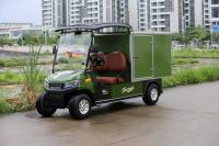 China Green Color Large Capacity 2 Seater Custom Golf Cargo Can Transport Goods And Food for sale