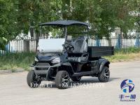 China Electric Golf Cart Canopy Roof and Electric Power Source for Optimal Performance for sale