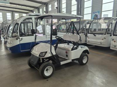 China LCD Instrument Dash Board 2 Seats Mini Golf Cart with and Speed of 25-40 Mph for sale