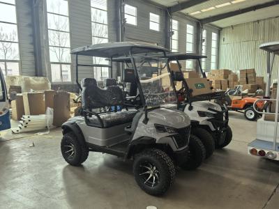 China 20% Maximum Climbing Degree Two-Person Golf Cart with 120mm Min Ground Clearance for sale