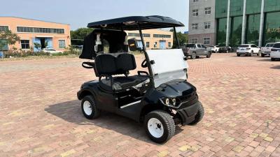China 48V Battery Powered 2 Seater Golf Cart with Independent Suspension and Rack And Pinion Steering for sale