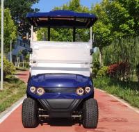 China High Quality Luxury Mini Car Electric Golf Cart 2 Seater Golf Buggy with Lithium Battery for sale