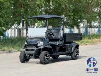 China Electric 2 Seat Golf Cart with Cargo Box for sale