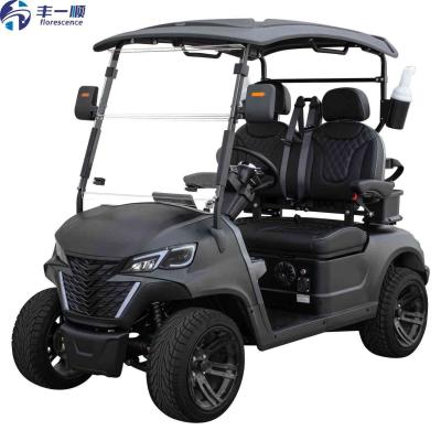 China Hot Sell Low Speed New Energy 2 Seater Golf Cart with 48V 150Ah Lithium Battery for sale