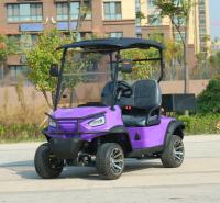 China EV Golf Cart Electric 2 Seater with 48V Battery System Lead Acid or Lithium Options Durable Steel Frame and Comfortable Seating for sale