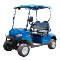 China Second Hand 2 Seats Electric Cheap Low Speed Utility Golf Carts for Sale for sale