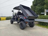 China Multi-Purpose Utility Vehicle 2-Seater Golf Cart with Cargo Bed for sale