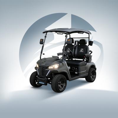 China customizable electric golf cart 2 seats lithium battery or lead-acid battery all available for sale