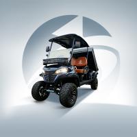 China Custom 2 Seater Golf Cart Car Electric Lithium Powered CE Certificated for sale