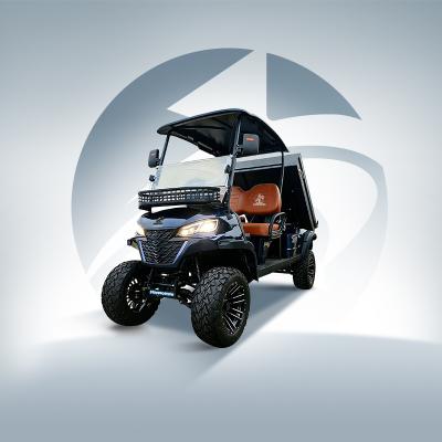 China Custom 2 Seater Golf Cart Car Electric Lithium Powered CE Certificated for sale