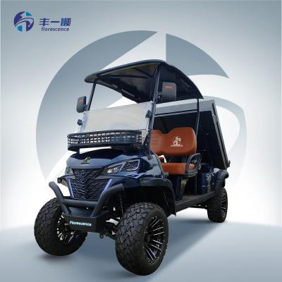 China 2 Seater Utility Golf Cart with Cargo Bed 72V Lithium Battery Heavy Duty Golf Truck for sale