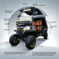 China 2 Seater Utility Golf Cart with Cargo Bed 72V Lithium Battery Heavy Duty Golf Truck for sale