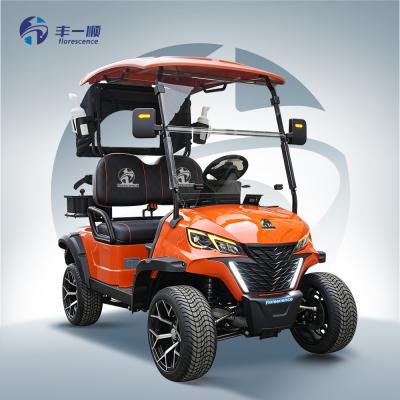 China Luxury 2 seater golf cart lithium battery Factory Direct Customizable OEM Supported for sale