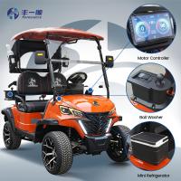 China Luxury 2 seater golf cart lithium battery Factory Direct Customizable OEM Supported for sale