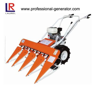 China 800-3 Wheelbase Compact Wheel Loaders with 17.5-20.5R25 Tire Size and 1.0-2.5 M³ Bucket Capacity for sale