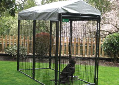 China Professional Grade Modular Dog Kennels , Outside Dog Kennels For Large Dogs for sale