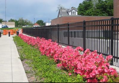 China Powder Coating Black Steel Fence Black Security Fence For Schools / Factories for sale