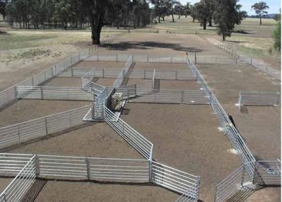 China Green Color Livestock Metal Fence Panels For Cattle / Horse / Sheep 6'H*8'L for sale