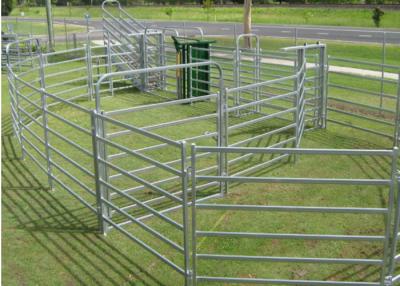 China Multi Function Green Livestock Panels Cattle Corral Fencing Easily Assembled for sale