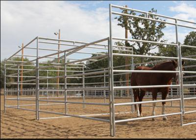 China Powder Coated Galvanized Cattle Corral Panels Good Oxidation Resistance for sale