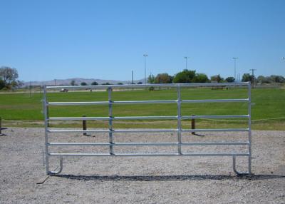 China Eco Friendly Portable Cattle Fence Panels / Heavy Duty Corral Panels for sale