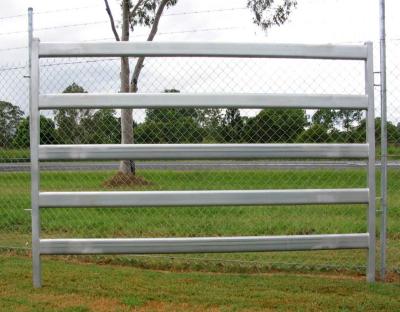 China Simple Installation Galvanized Horse Fence Panels Pipe Panels For Horses for sale