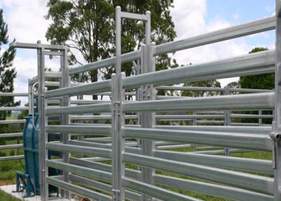 China Smooth Surface Cattle Yard Panels , Lightweight Livestock Panels Anti Broken for sale