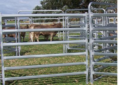China No Sharp Edge Safety Horse Corral Panels , Horse Gate Panels For Outdoor for sale