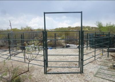 China Pressure Resistance Cattle Corral Panels Corral Fence Panels For Protecting Horse for sale